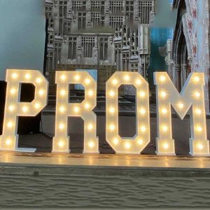 Event Light Up Letters - LITASIGN