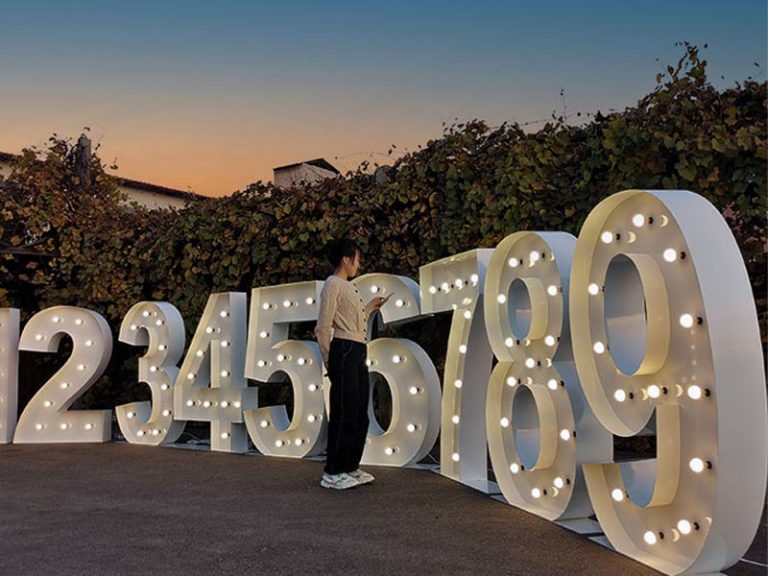 Expert Wholesale Marquee Numbers Supplier | LITASIGN