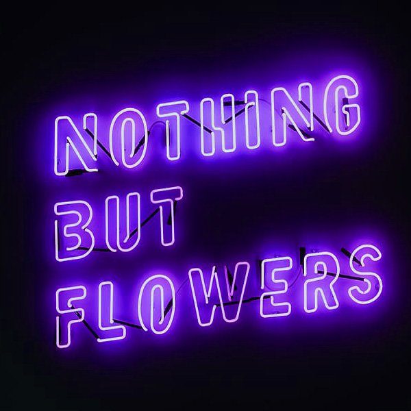 Florist Neon Signs - LITASIGN